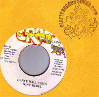 Tony Rebel - Dancehall Vibes | Deadly Dragon Sound